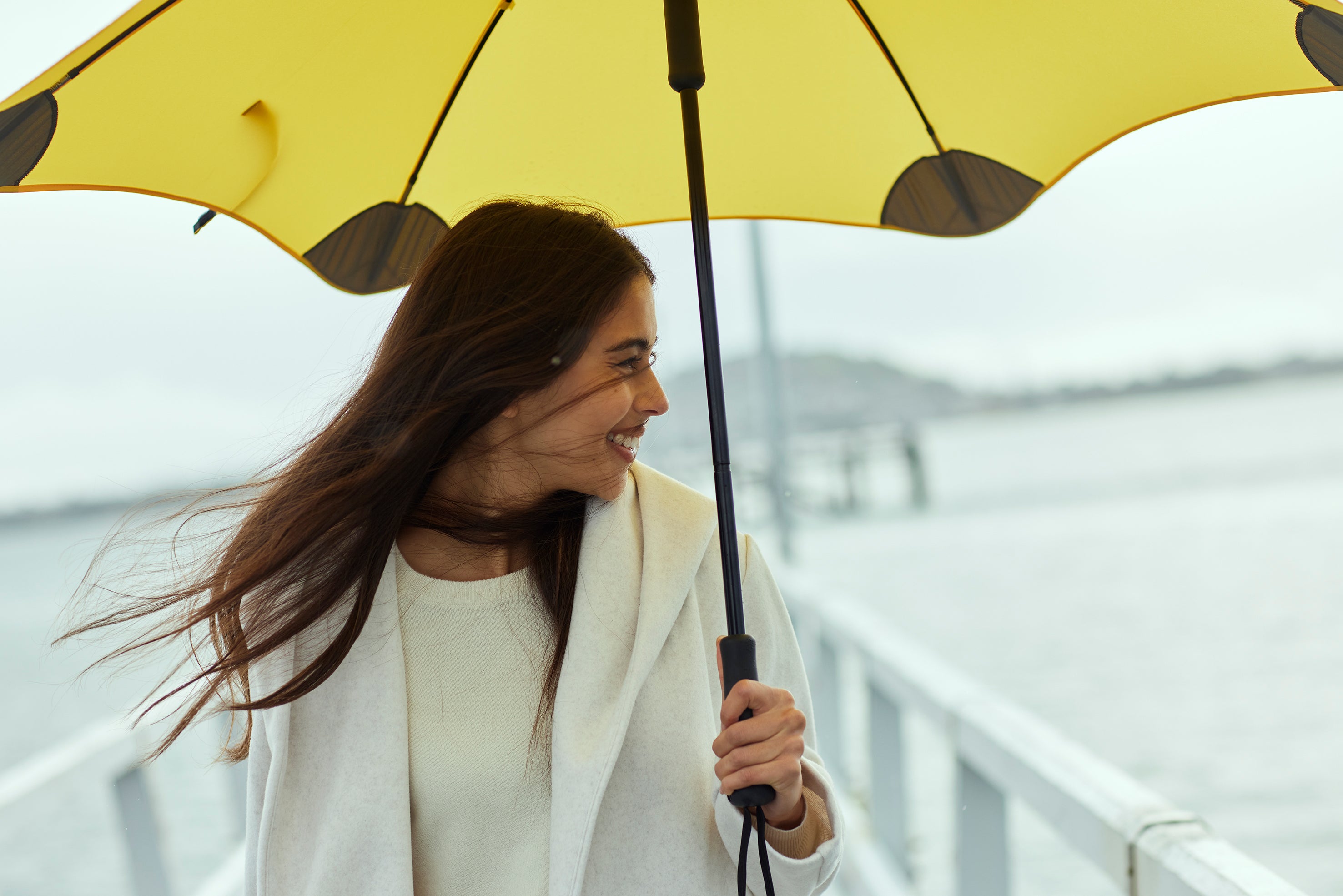 BLUNT Classic Umbrella | P.S.